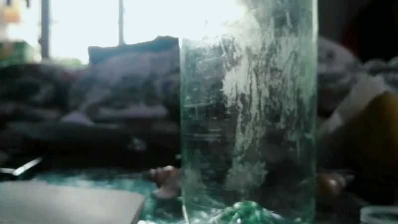 做生态瓶,简单做法。