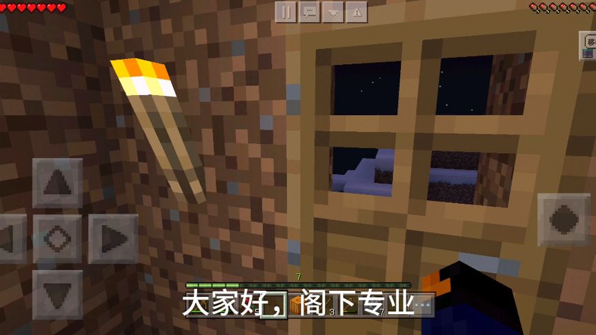 我的世界:生存攻略