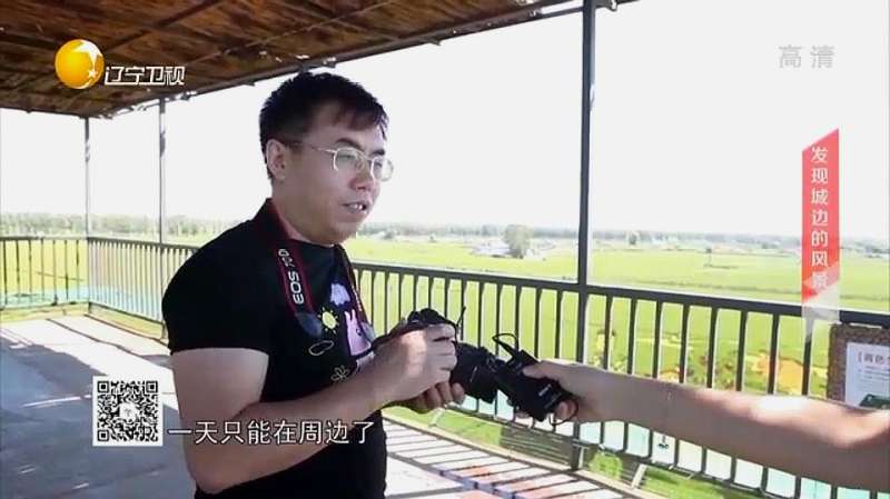 对于稻田画的设计者来说,土地为纸水稻为笔他们是大地里的画家