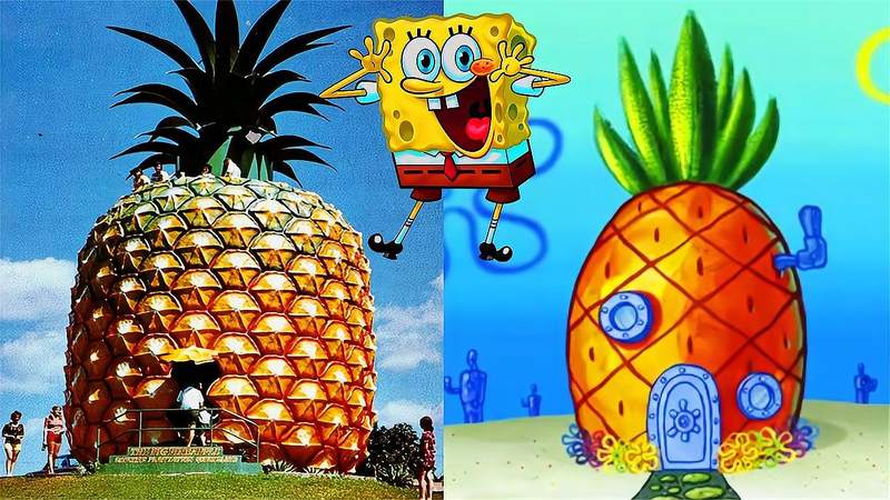 海绵宝宝的菠萝屋?你不会相信存在于现实生活中的卡通房子