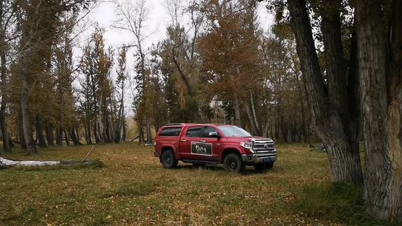 越野車師带您玩转新疆,布尔津白桦林!#玩转新疆 #玩转地球