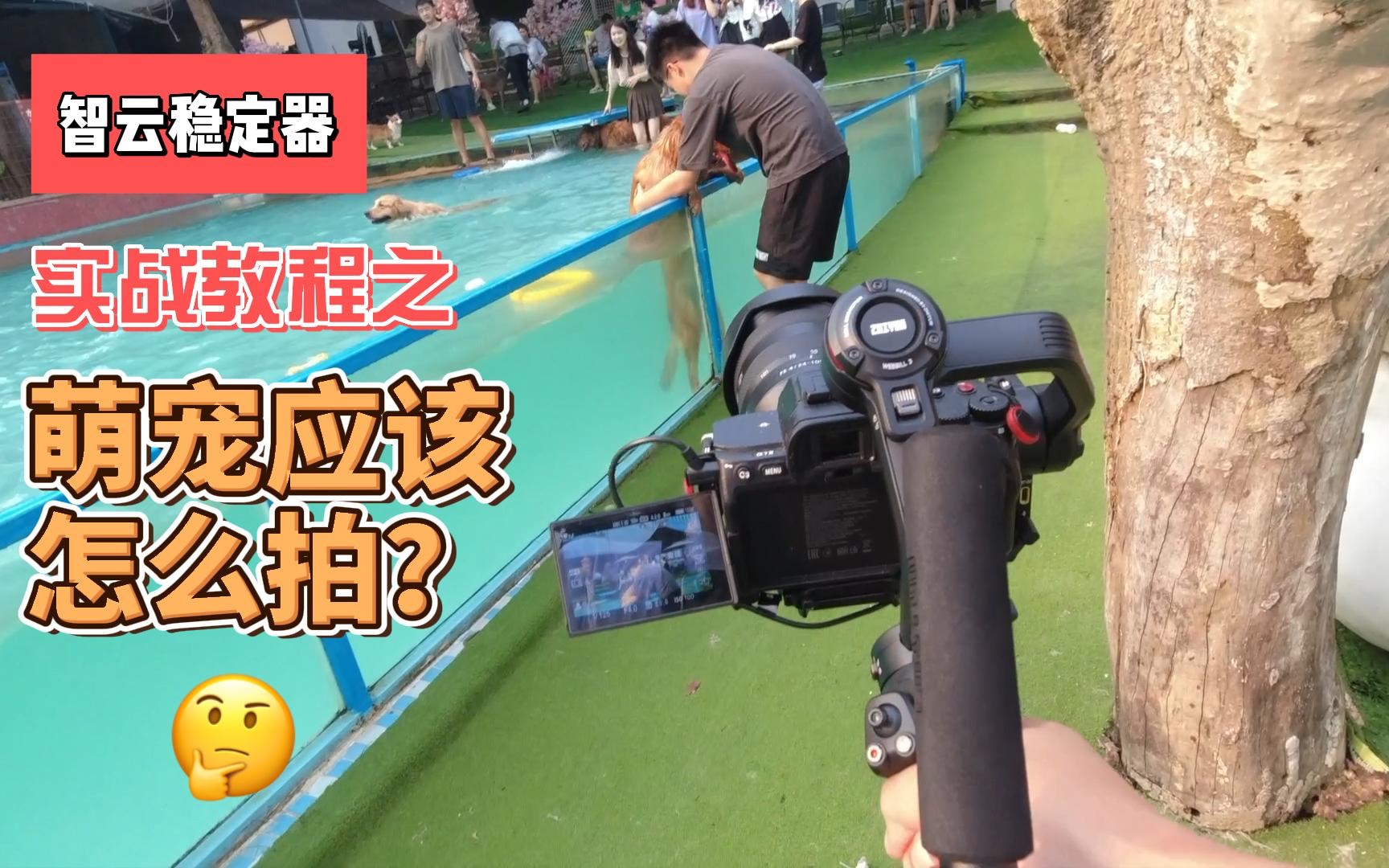 智云稳定器实战教程之:萌宠应该怎么拍?
