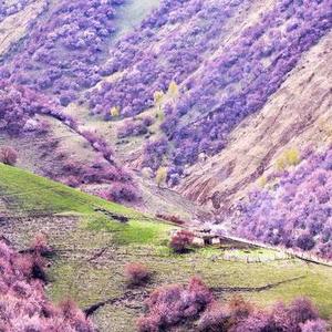 燕雀安知鸿鹄之志哉 