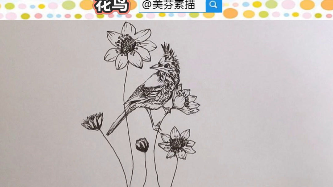 小鸟速写入门教程!教你画一幅简单又好看的花鸟手绘风景素描画!