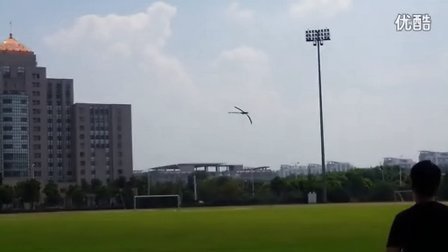 中国第一模型直升机职业选手3d表演