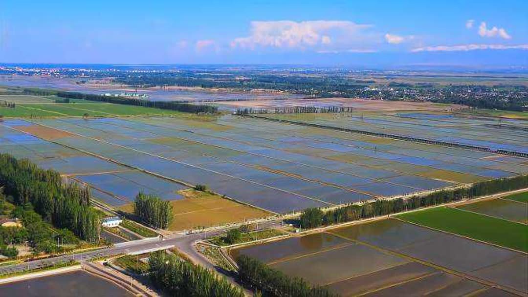中国美丽田园,2300亩稻田景观,你见过吗?