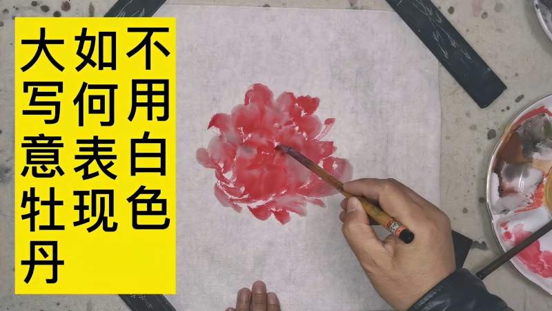 第361期不用白色居然能画出这样好看的大写意国画牡丹