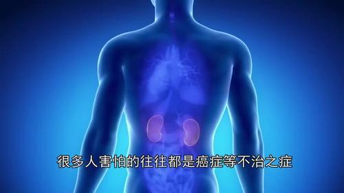 抑郁症有多可怕?科学家把老鼠放入水中做实验,镜头记录心酸一幕