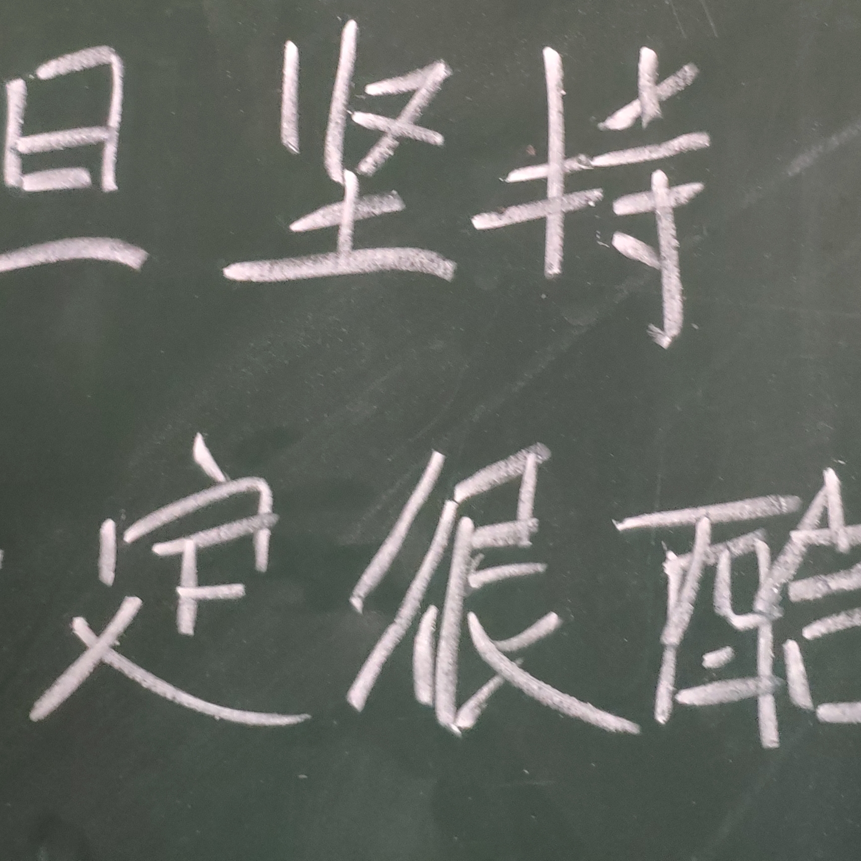 小壳马 