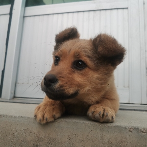 嘻嘻哈哈哈啦啦哭哭哭 