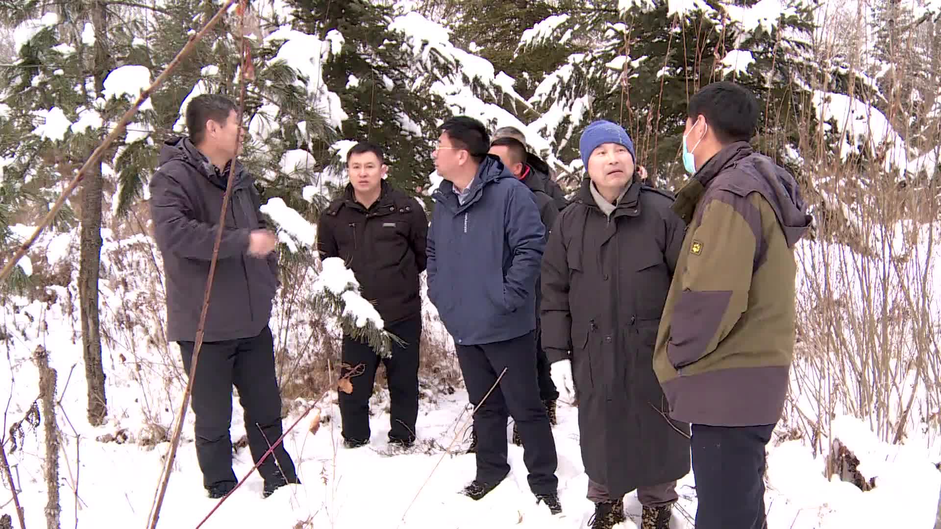 吉林省林业和草原局到局开展森林科学经营专题调研