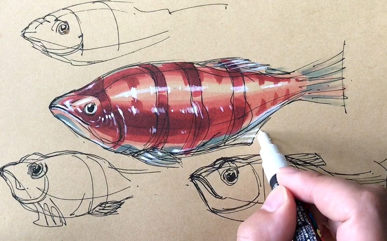 如何画一条鱼-仿生原型表现【工业/产品设计手绘】