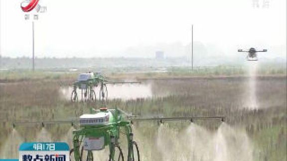 全省水稻生产全程机械化现场观摩会在安义举行