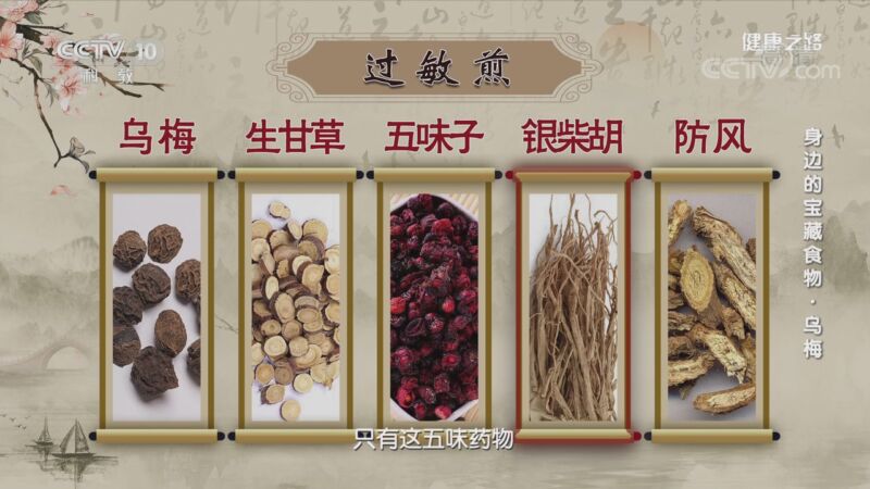 [健康之路]身边的宝藏食物·乌梅 乌梅入药