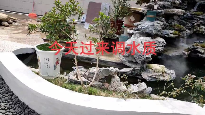 效果怎么样#庭院设计施工 #鱼池假山 #花园设计 #过滤系统