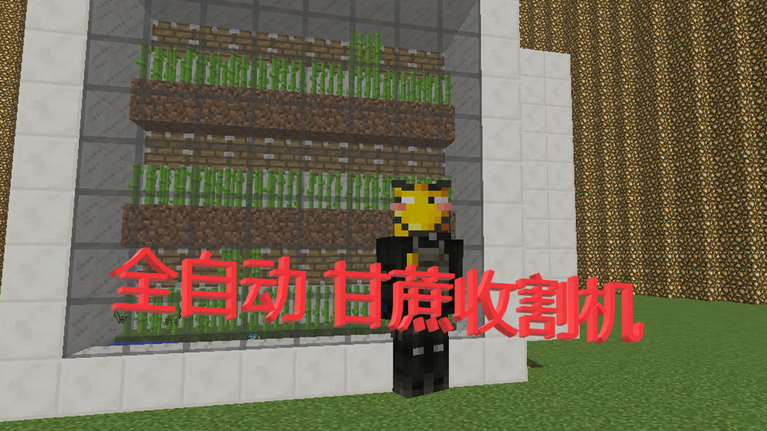 【哈哈菌】我的世界全自动甘蔗收割机(不用侦查器生存必备)