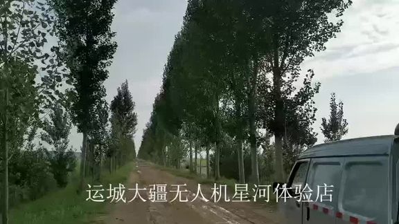 测绘无人机规划航线,农业植保机自主飞行,给路边树木喷洒农药。