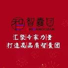 智囊团师资管理团队 