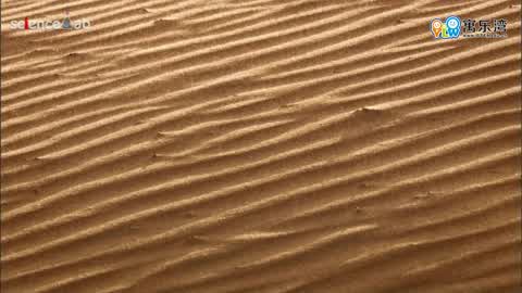 新东方小学趣味实验—地质变化 : 第24集 岩石的风化