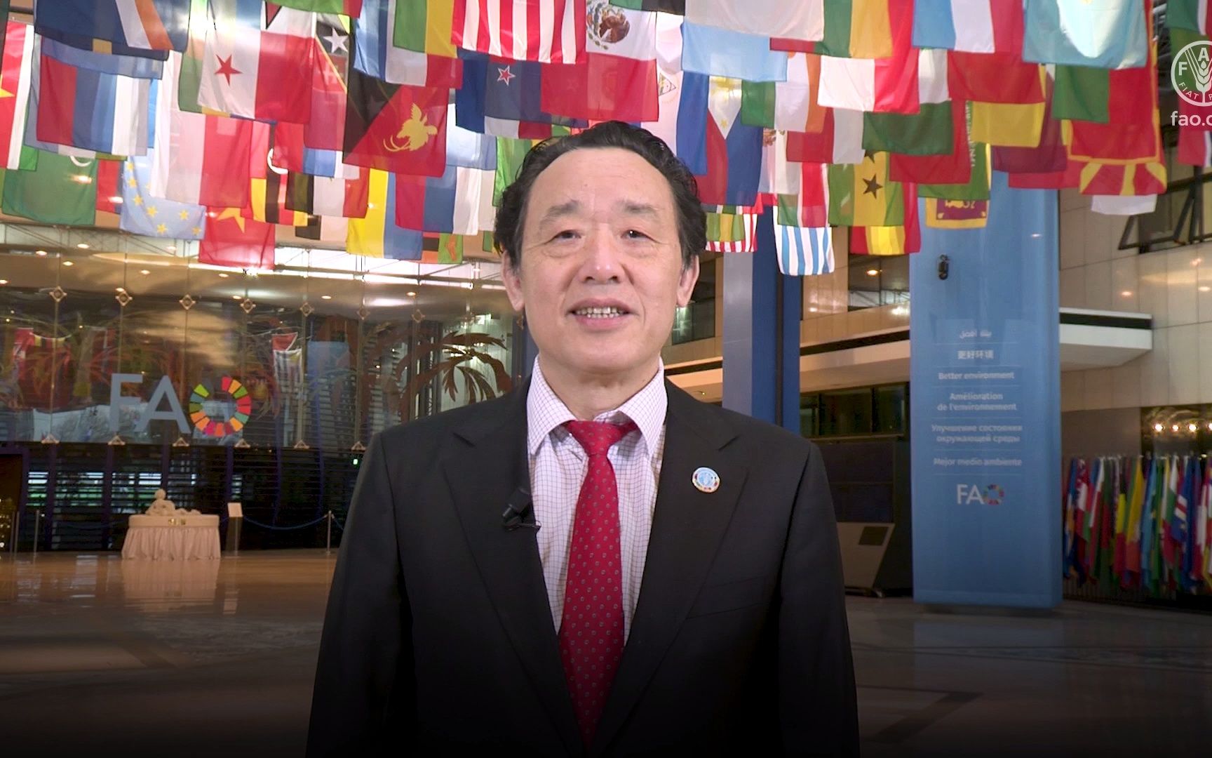 FAO联合国粮农组织招聘: (中文)翻译文档助理