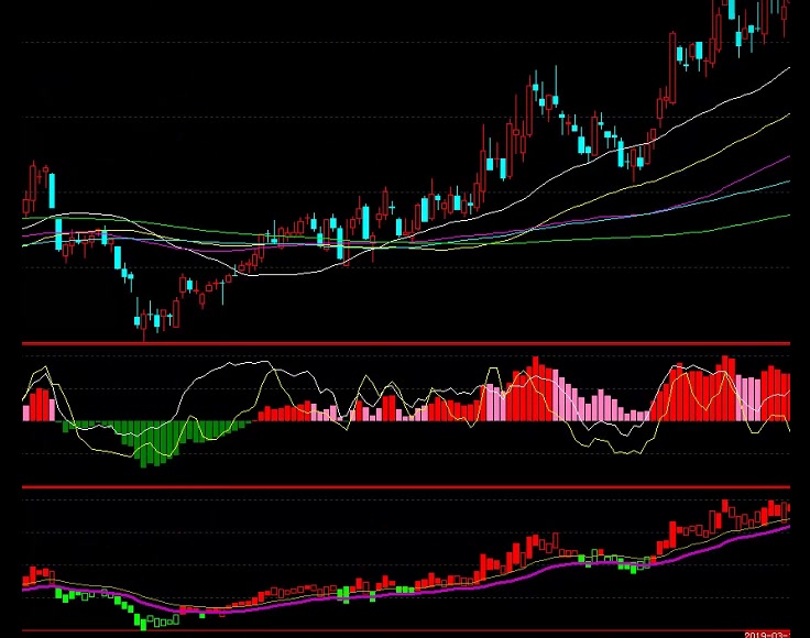 19-03-11 个股案例分析