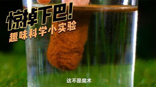 简单在家就可以做的科学小实验,从小启蒙孩子对科学的浓厚兴趣!