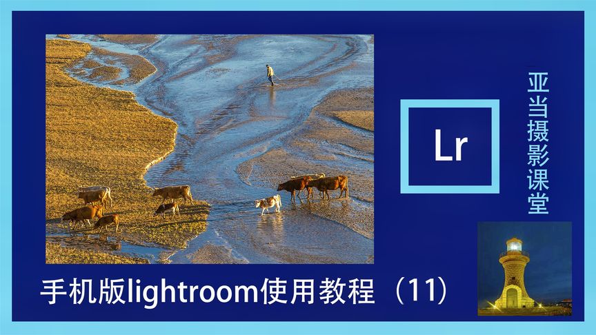 手机版Lightroom使用教程(11)--细节面板