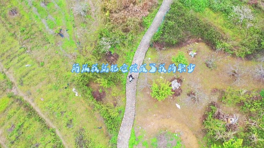 青蛙公主的一段励志语录,它就像我所追求的目标一样