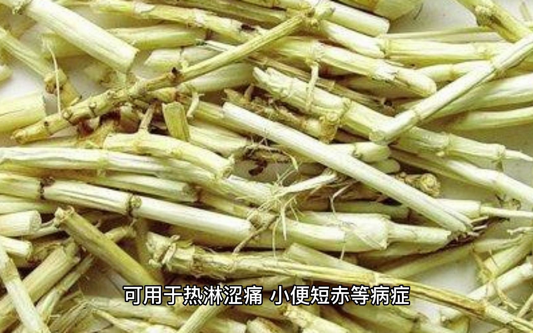 芦根功效与作用