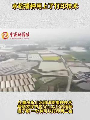 水稻播种用上了打印技术。