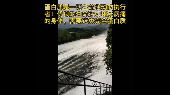 蛋白质是组成人体一切细胞、组织的重要成分