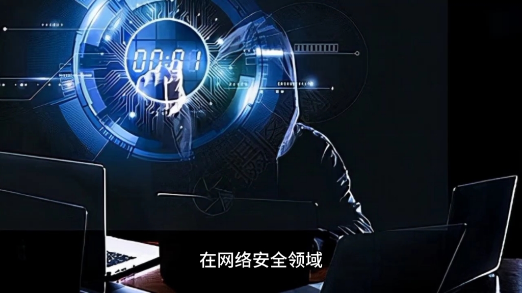 Socks5代理与代理IP:保护隐私的有效工具