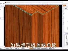 陆维板式家具设计拆单软件---06陆维异形编辑1