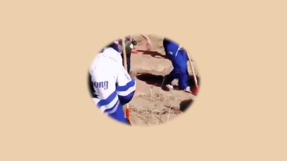 沙漠因你们而美丽#研学旅行在武威 #兰州十一中