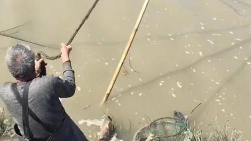 撒网也需要技巧,看到大爷的做法,人人竖起大拇指