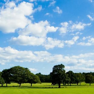 与你同行32264752 