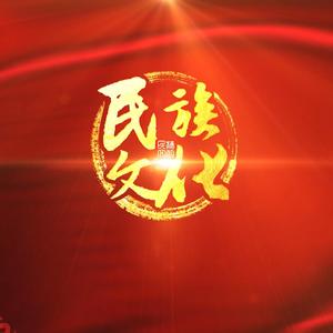 广西卫视民族文化 