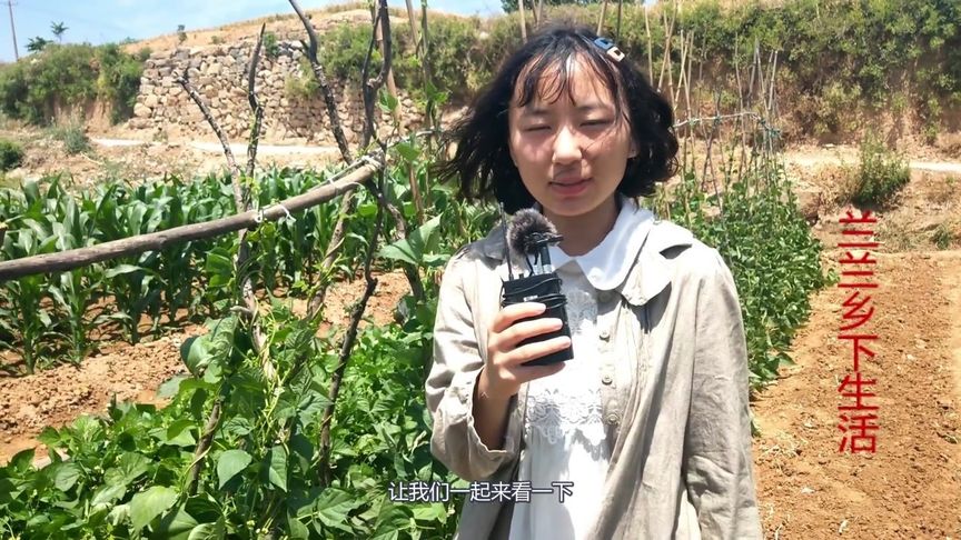 兰兰乡下生活:去菜地看看辣椒的生长状况