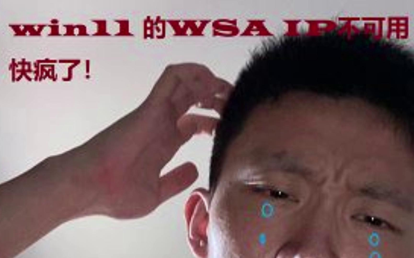windows11 安卓子系统 IP用一会不可用怎么办?别着急 请看视频就会啦!