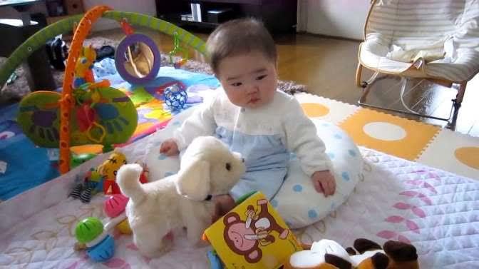 会动的玩具狗狗,宝宝很喜欢这个新玩具