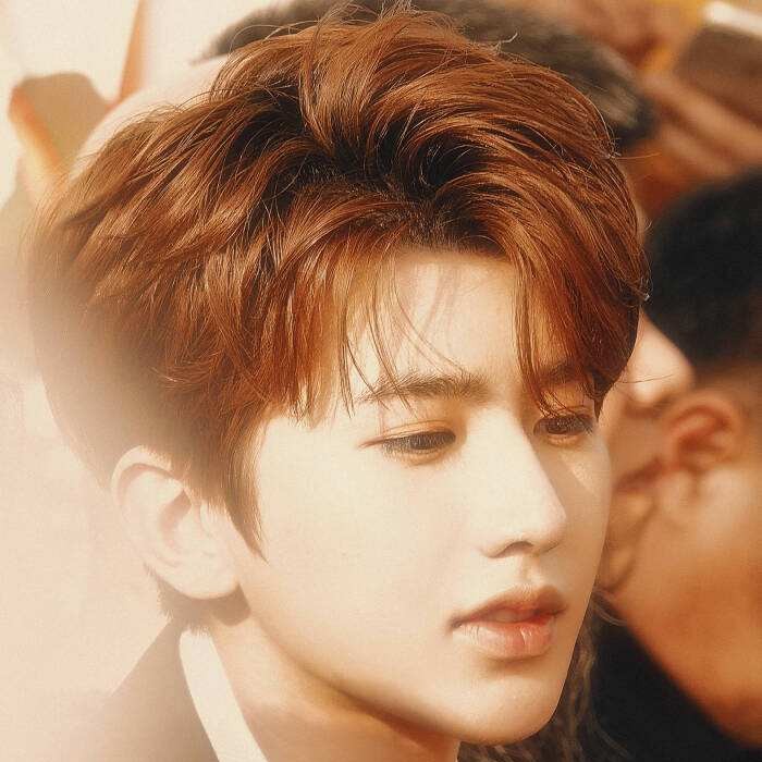 黄金摄手王富贵 