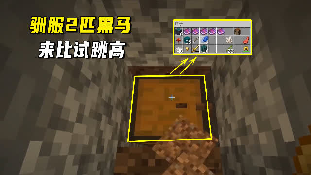 我的世界联机308:小狗拿了我2本经验修补?收他4组钻石