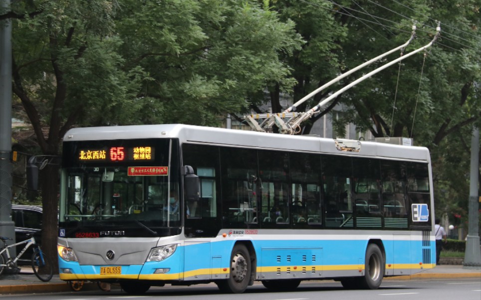 【普通走向·无轨短线】[京pov002夜]北京公交65路北京西站至动物园...