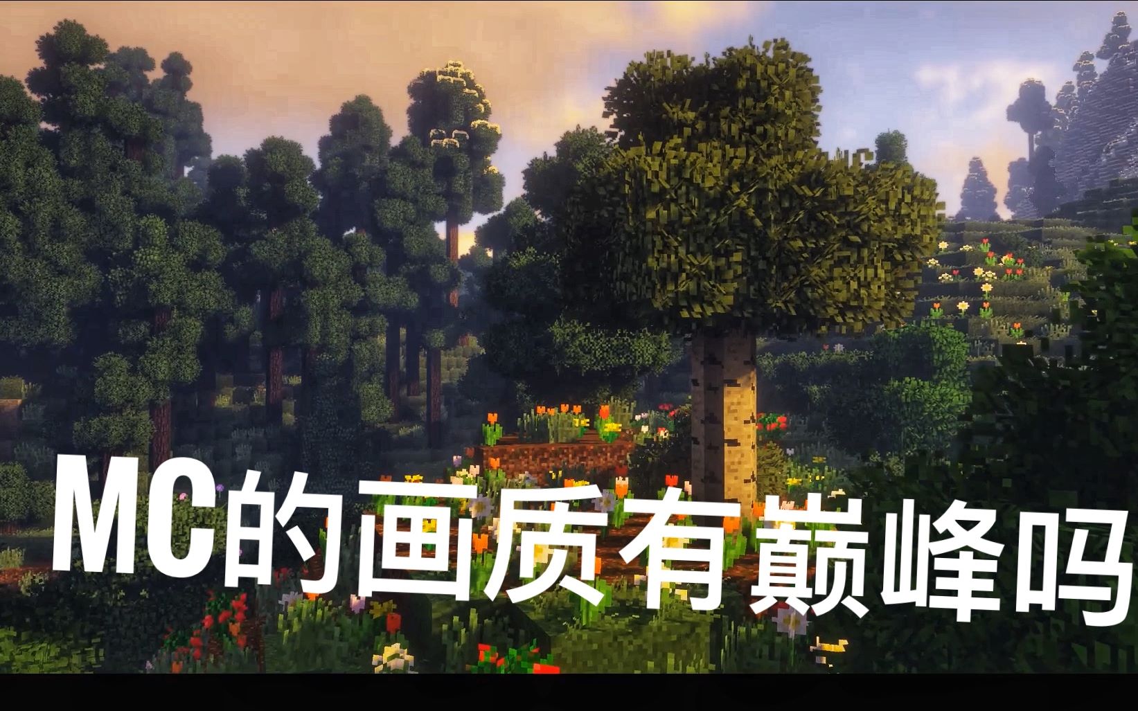 【Minecraft】我的世界的画质究竟有没有巅峰?