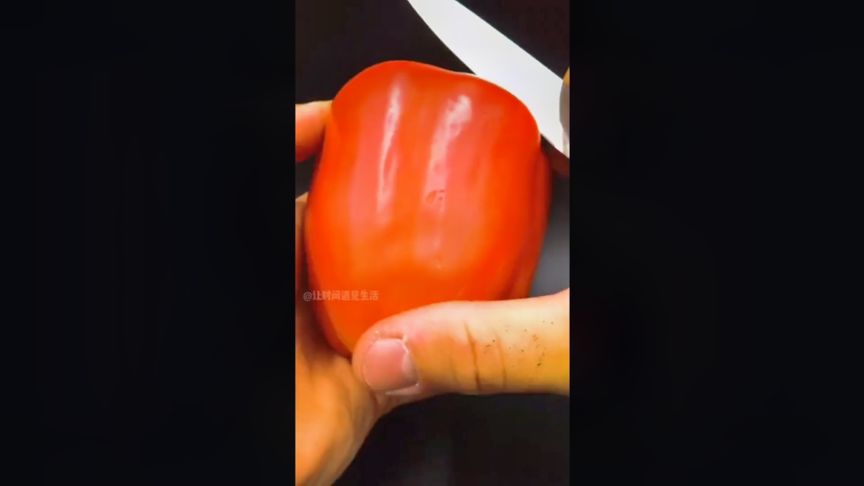 辣椒生长过程