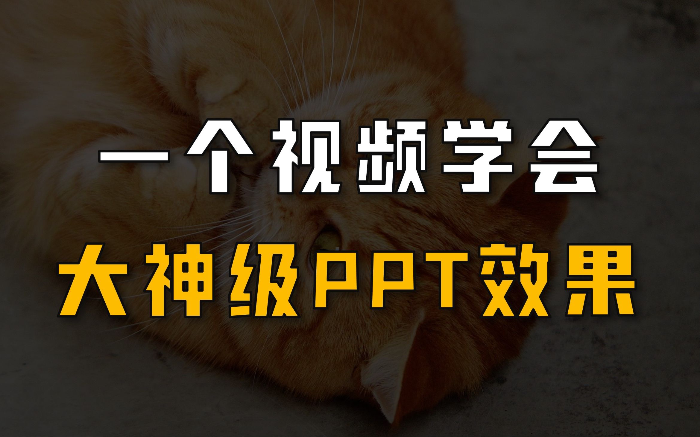 一个视频教你做出大神级PPT效果!(大神竟是我自己)