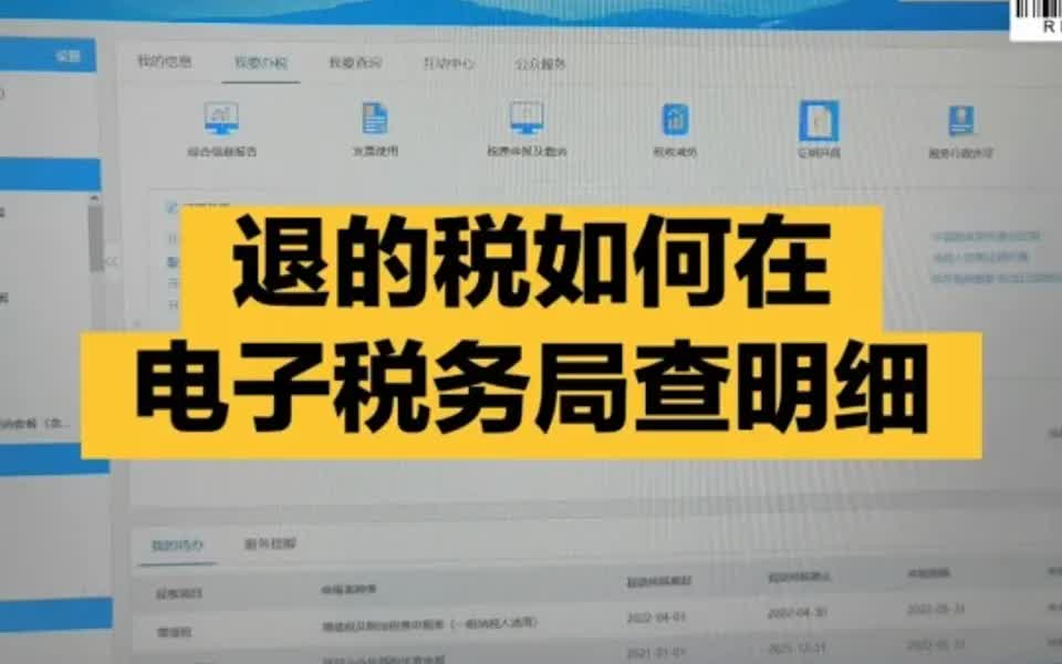 会计实操:退了哪些税如何查明细