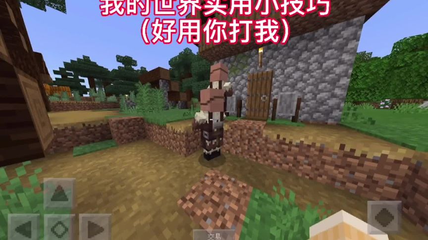 #mc实用小技巧 这些技巧,好用你打我!