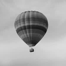 火凤凰爱宠物稍颈下 