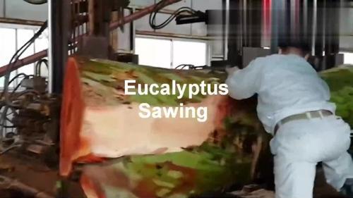 你知道如何把一颗齐腰粗的原木加工成木板吗?这工艺真不错